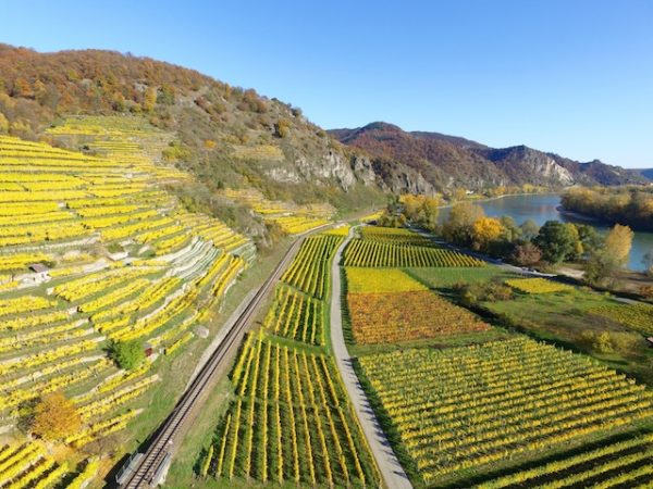 WWOOF Italy Experience: Drinking and Feasting in Tuscany